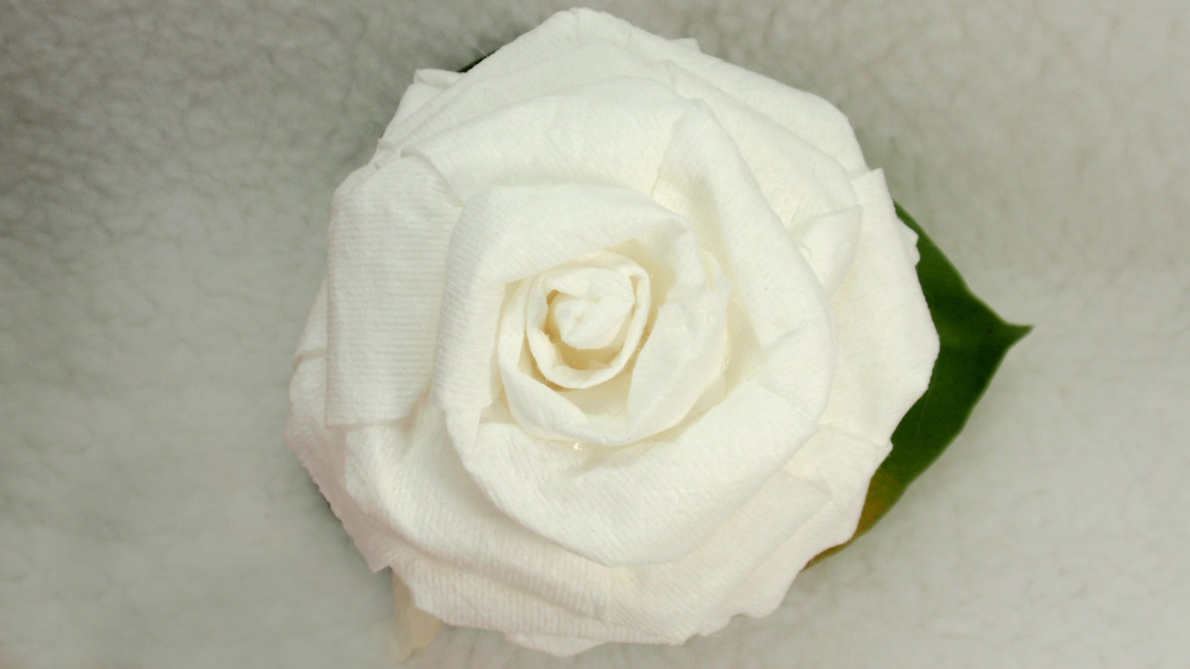 DIY Toilet Paper Rose Tutorial DIY How To Make diy-toilet-paper-rose-tutorial-diy-how-to-make