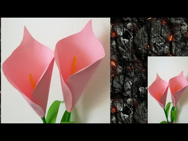 How To Make Calla Lily Flowers From Origami Paper Easy Origami Paper Flowers Malayalam how-to-make-calla-lily-flowers-from-origami-paper-easy-origami-paper-flowers-malayalam