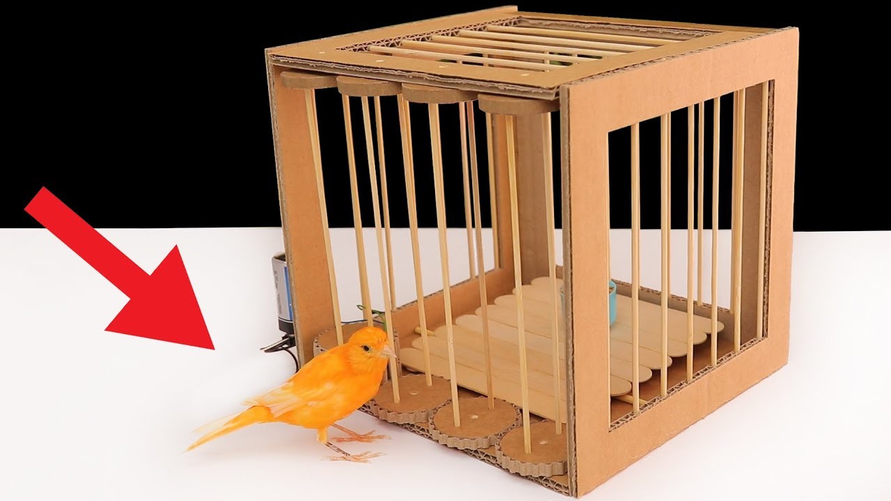 how-to-make-a-bird-trap-from-cardboard-diy-projects