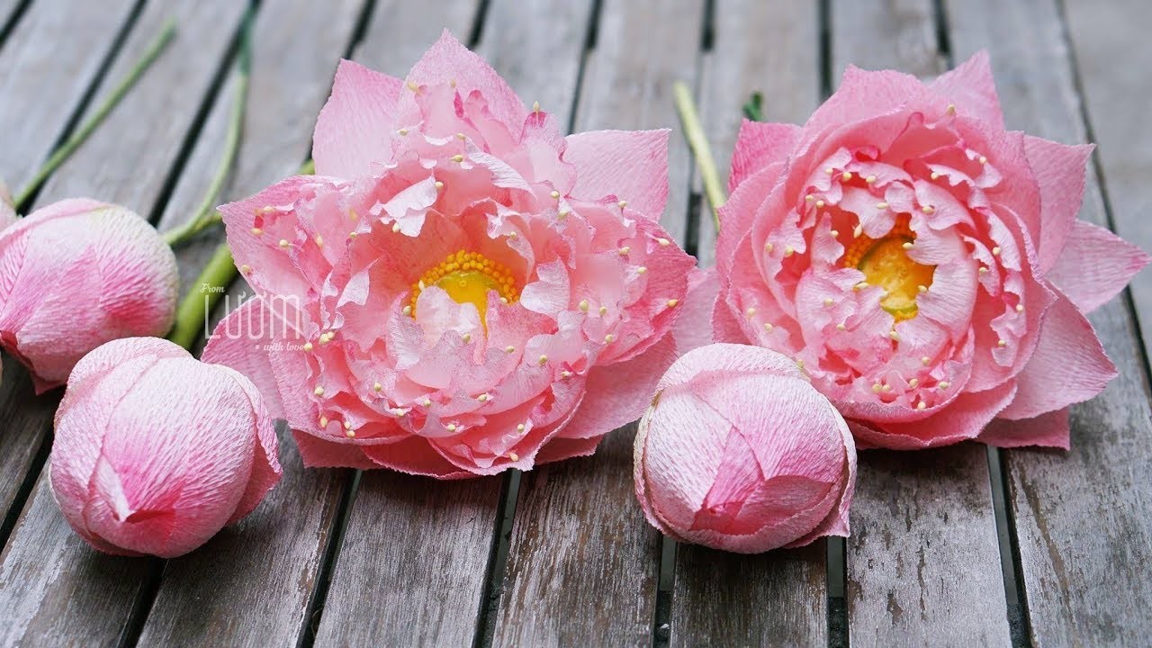 How To Make Lotus Paper Flowers tutorial Easy C ch L m Hoa Sen B ng Gi y how-to-make-lotus-paper-flowers-tutorial-easy-c-ch-l-m-hoa-sen-b-ng-gi-y