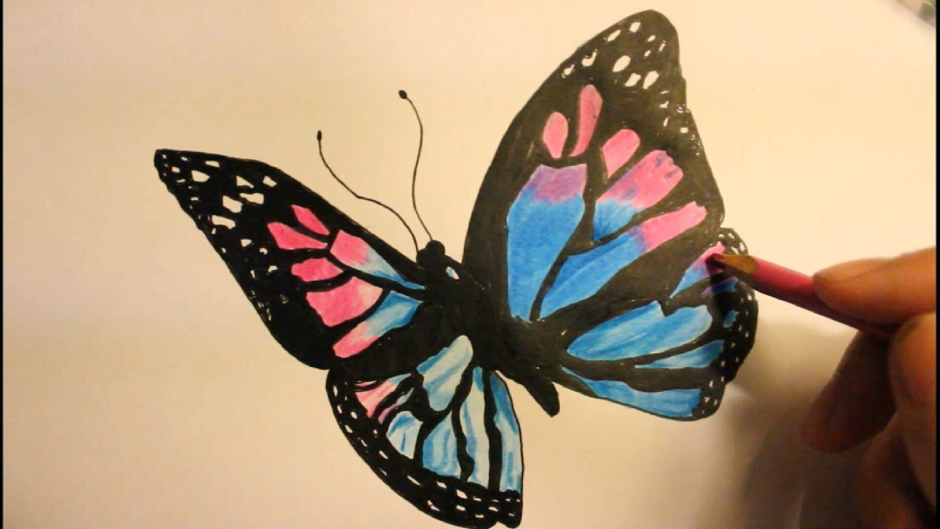 How To Draw A Butterfly Easy Step By Step Wings With Pencil Pattern