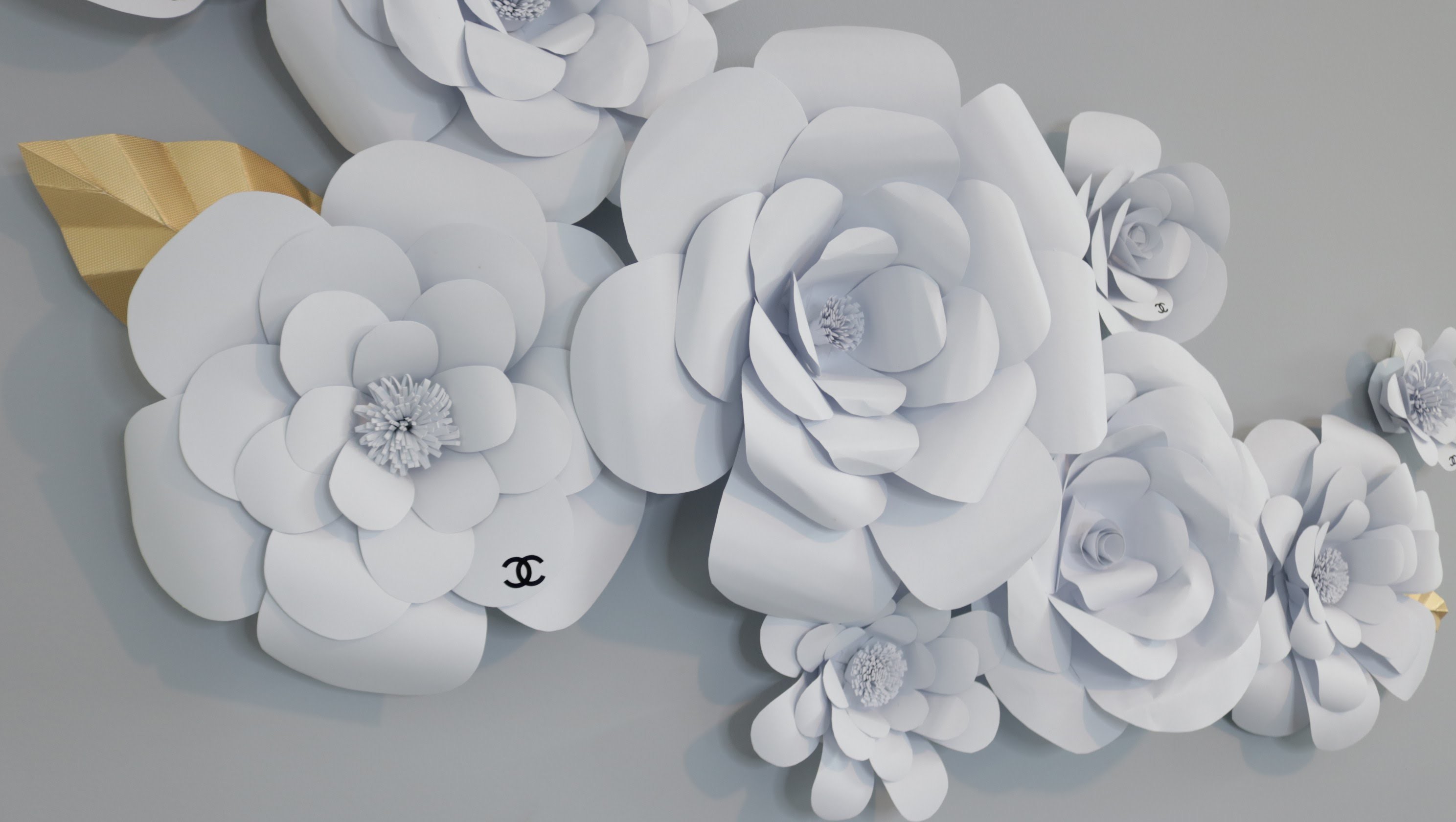Big Paper Flower Backdrop
