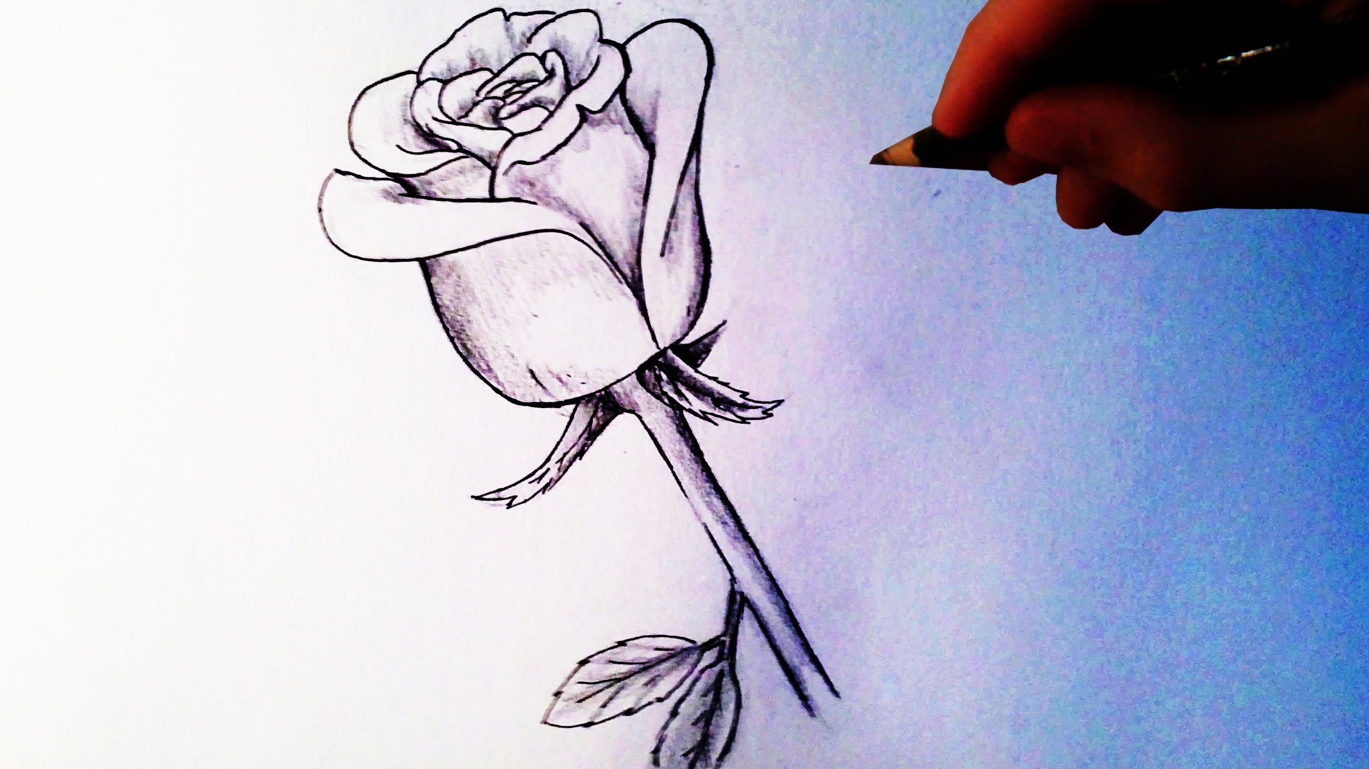 How To Draw A Rose Easy Tutorial
