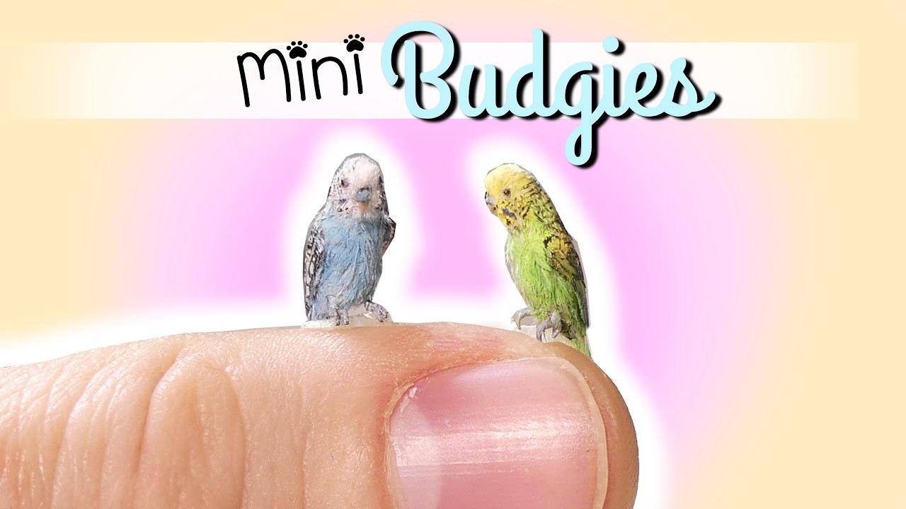 how-to-miniature-budgie-tutorial-diy-doll-pet-bird