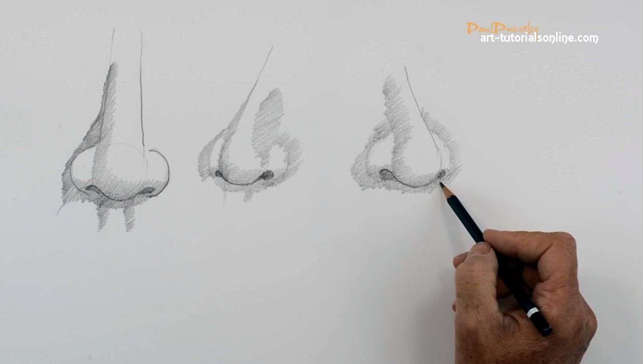 Easy Method To Draw A Nose easy-method-to-draw-a-nose