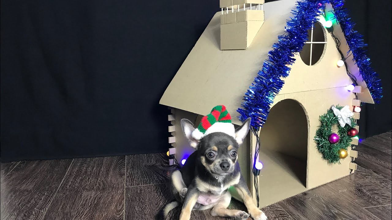 How To Make Amazing Puppy Dog House From Cardboard